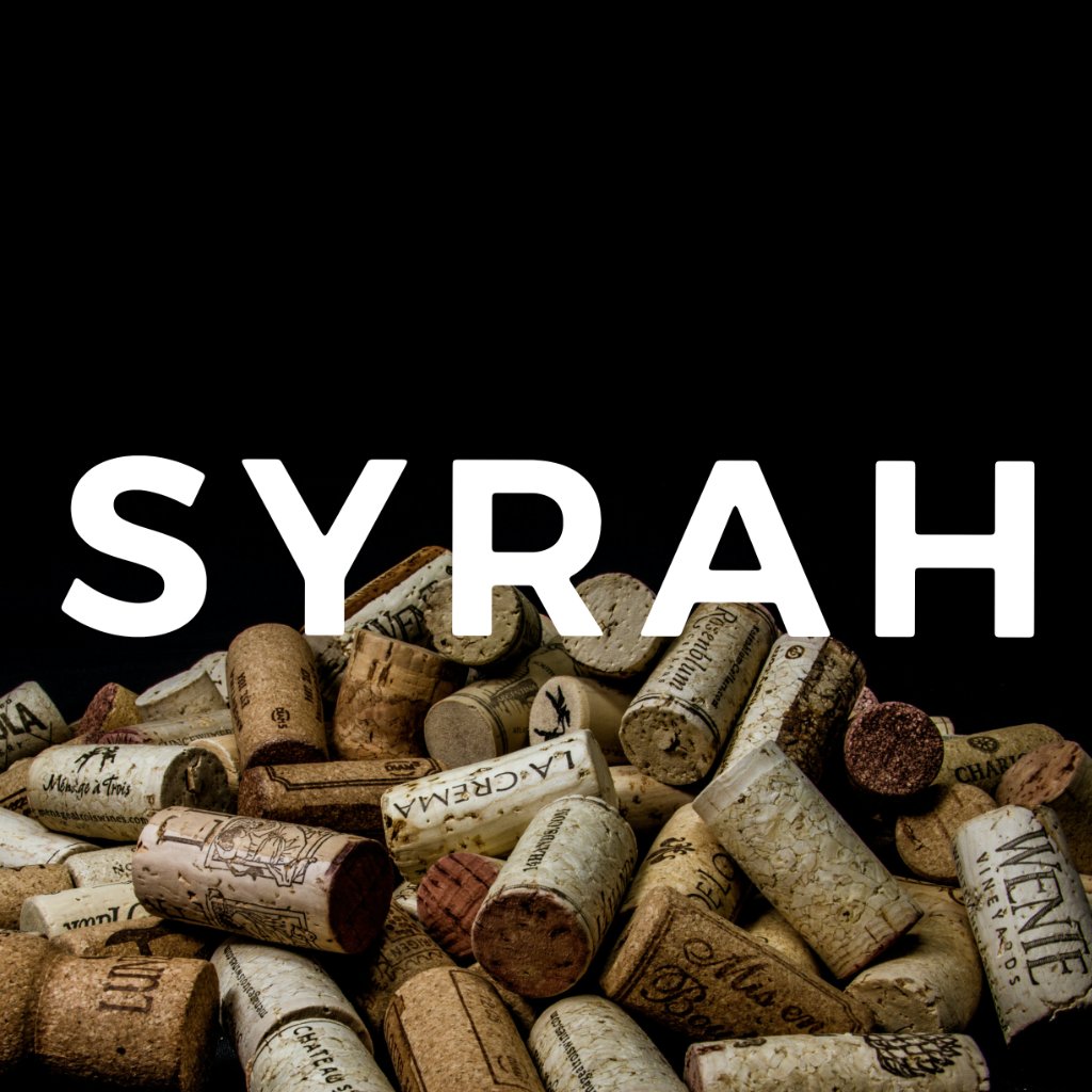Syrah – CHAPTER 4 | FINE + RARE